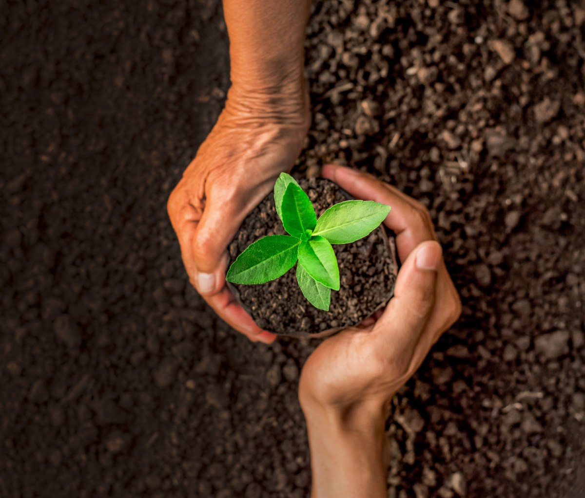 Take Action Burlington – An Update on Our Local Environment – Take ...