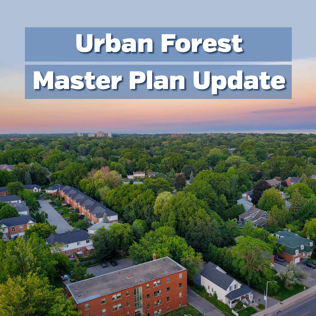 Burlington’s Urban Forest Master Plan: We want to hear from you – part ...