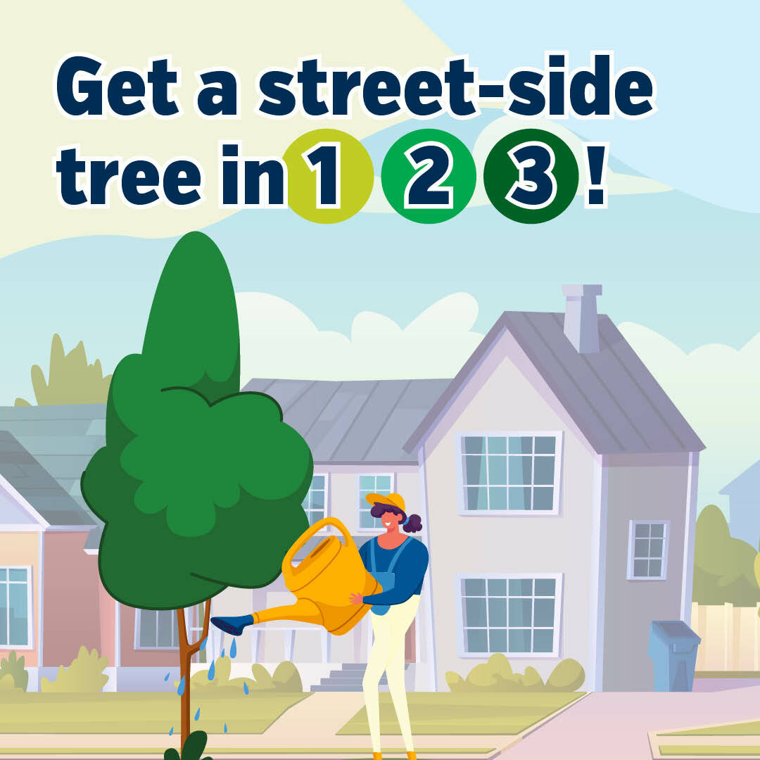 Participate in Burlington’s Street-Side Tree Planting Program in 2024 ...
